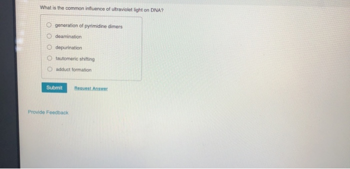 Solved If a segment of DNA were replicated without any | Chegg.com