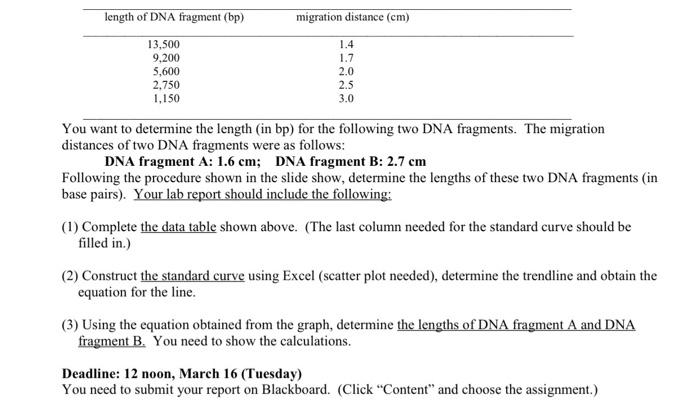 length of DNA fragment (bp) migration distance (cm) | Chegg.com
