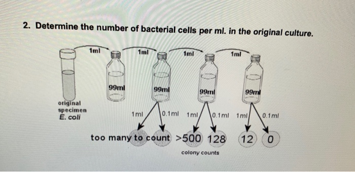 Solved 1. Determine the number of bacteria per ml. of water | Chegg.com