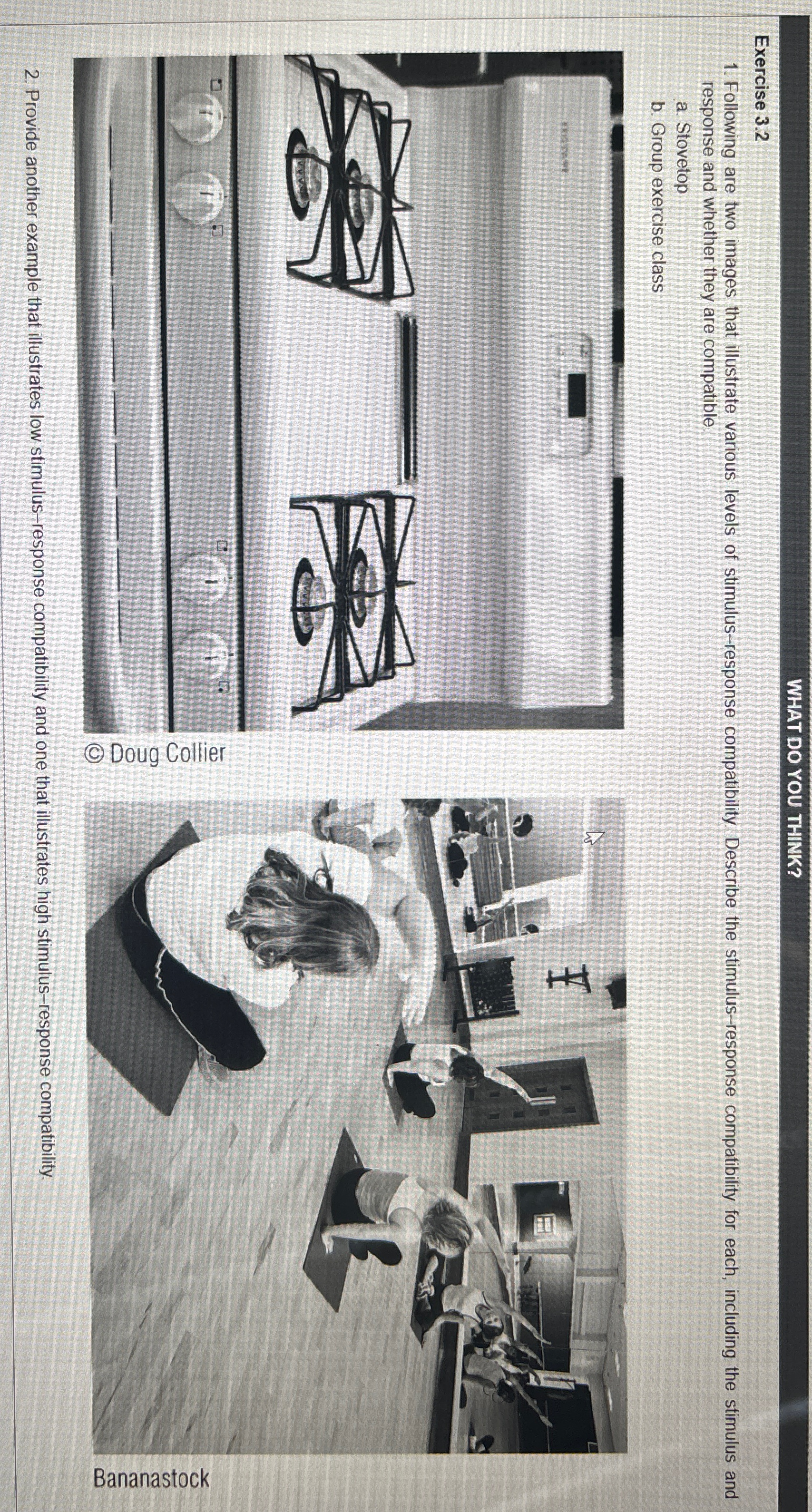 Solved WHAT DO YOU THINK?Exercise 3.2Following are two | Chegg.com