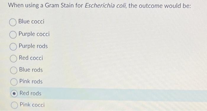 Solved When using a Gram Stain for Escherichia coli, the | Chegg.com