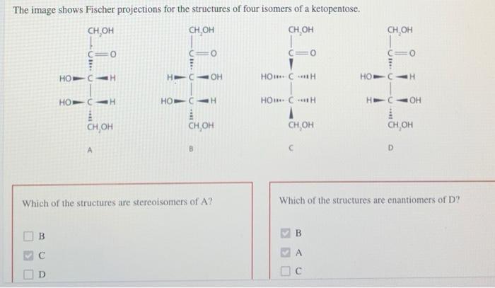 Solved The image shows Fischer projections for the | Chegg.com
