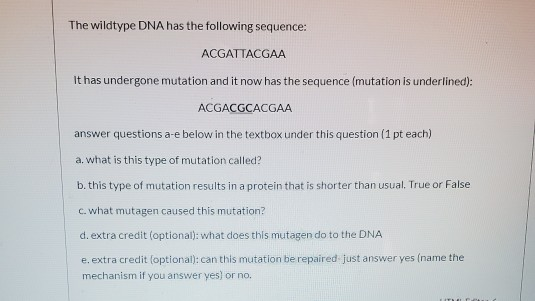 Solved The wildtype DNA has the following sequence: | Chegg.com
