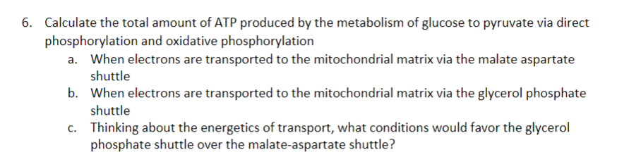 Solved Calculate the total amount of ATP produced by the | Chegg.com