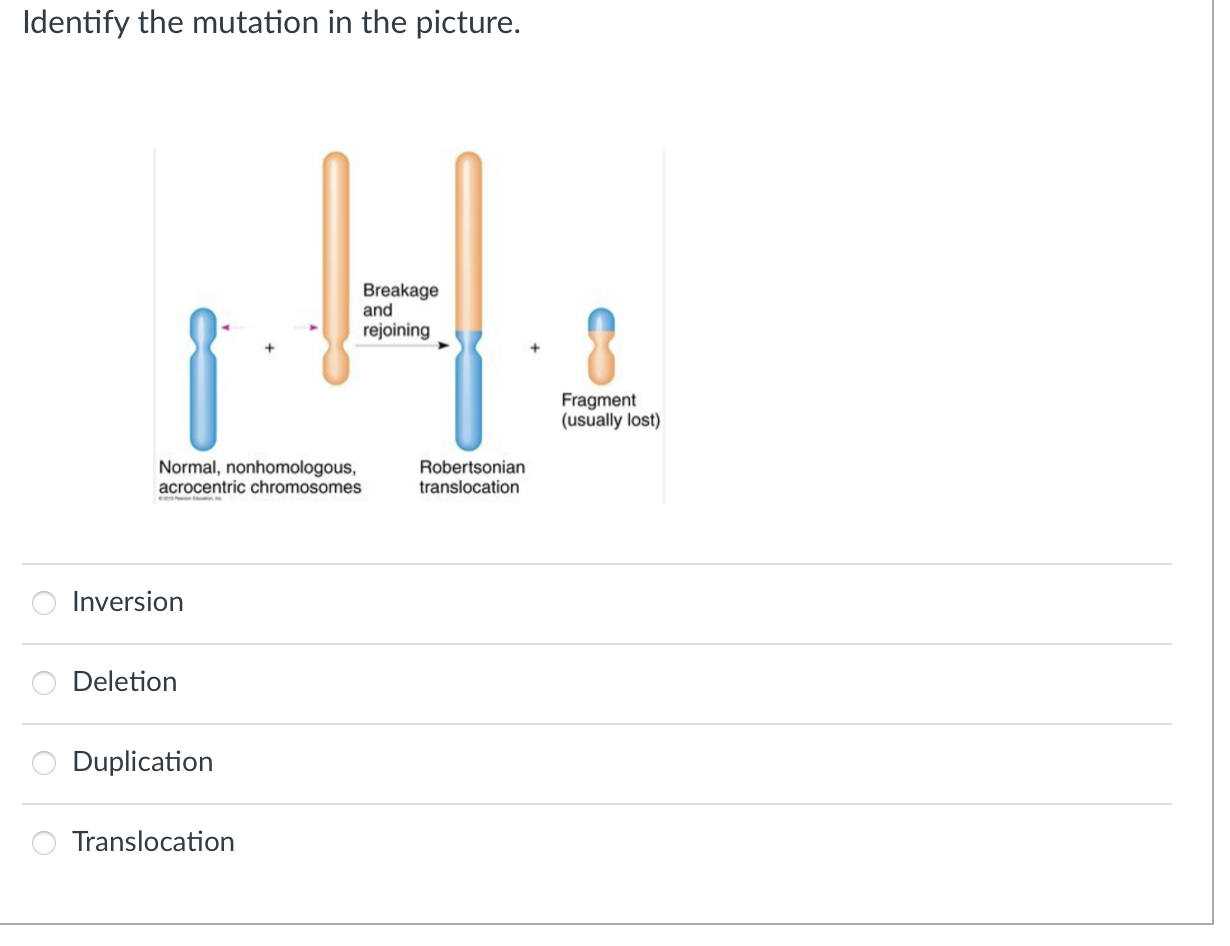 Solved Identify the mutation in the | Chegg.com