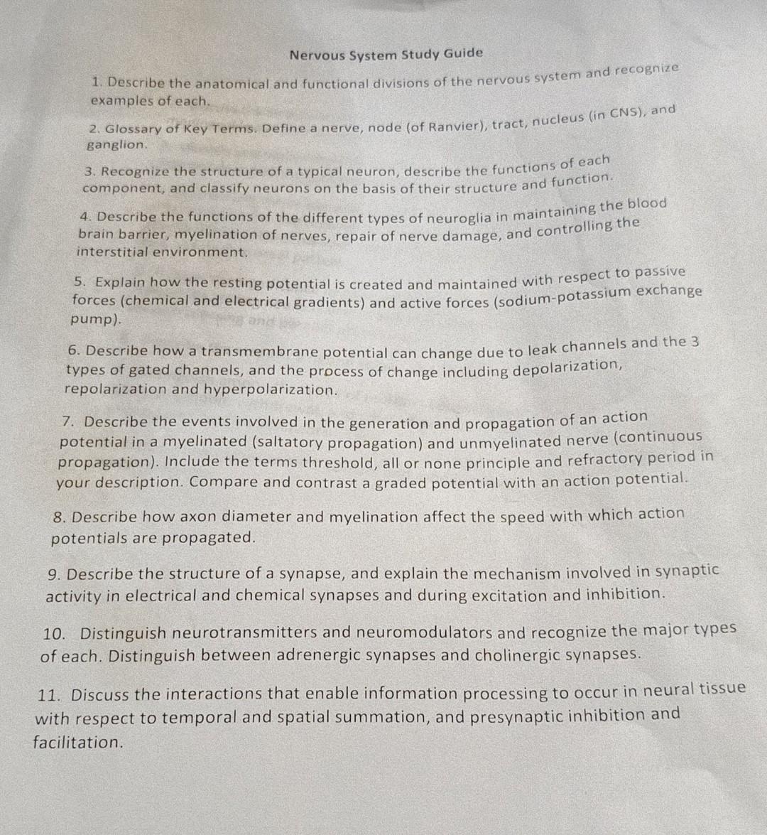 Solved Nervous System Study Guide 1. Describe the anatomical | Chegg.com