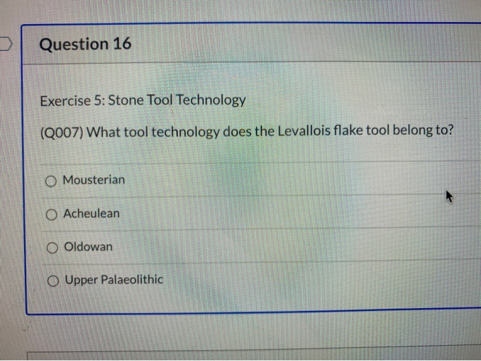 Solved Question 15 Exercise 5: Stone Tool Technology (2005) | Chegg.com