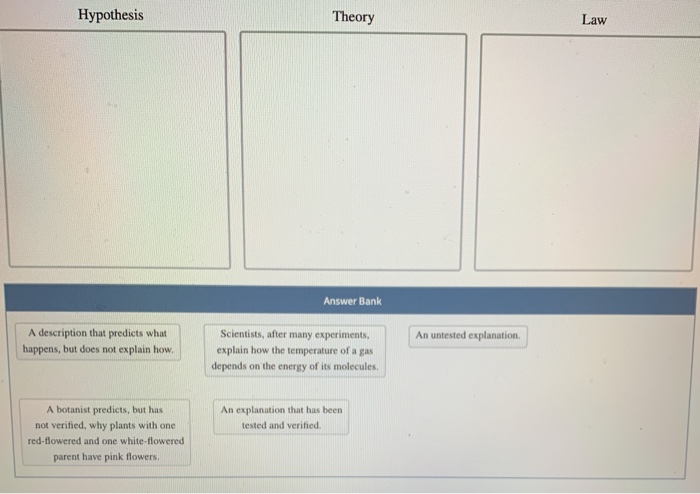 Solved Hypothesis Theory Law Answer Bank A description that | Chegg.com