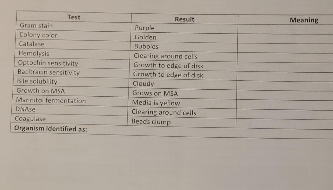 Solved Meaning Test Gram stain Colony color Catalase | Chegg.com