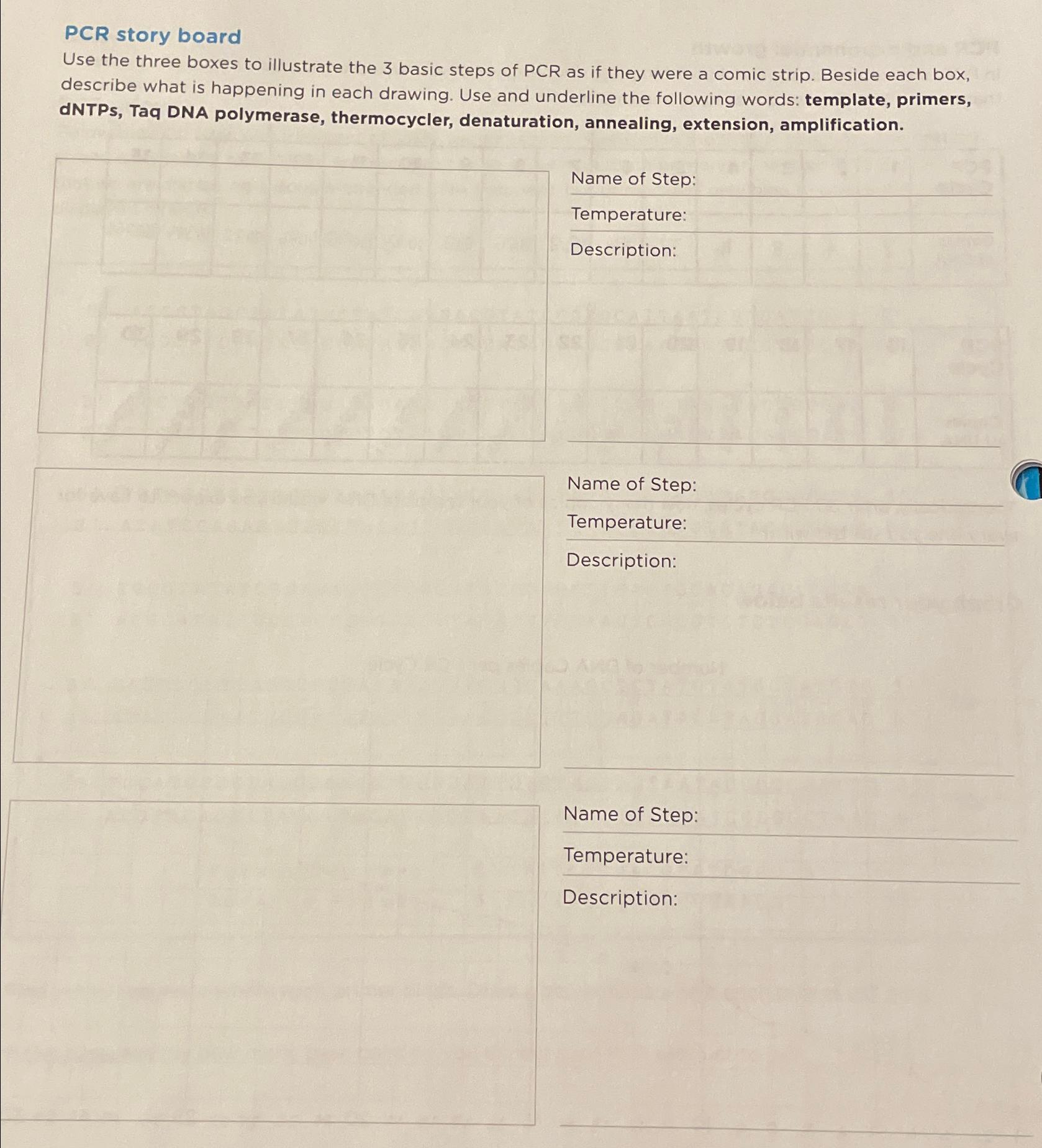 Solved PCR story boardUse the three boxes to illustrate the | Chegg.com