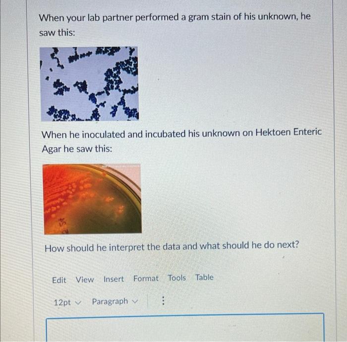 [Solved]: please help me answer this question. When your lab
