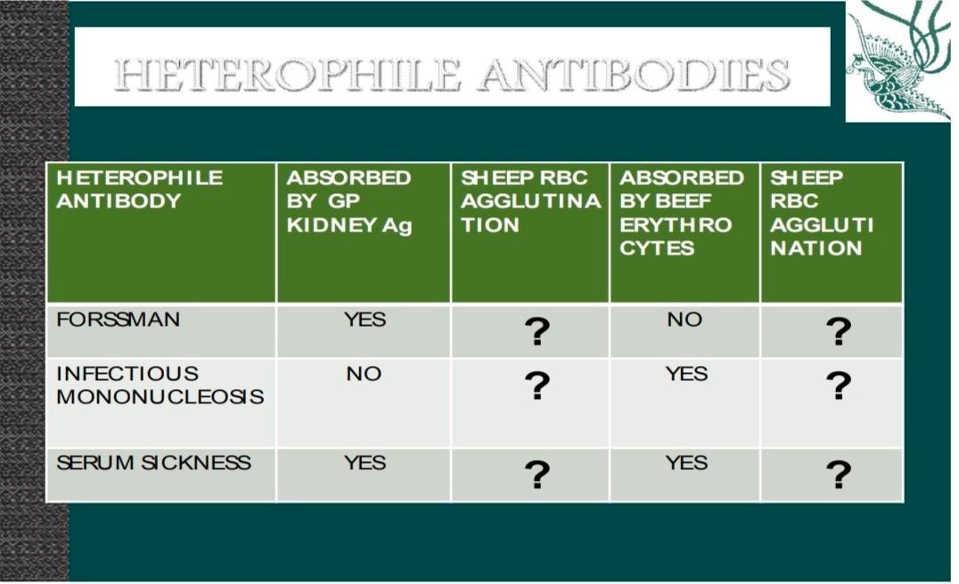 Solved What are the reactions of sheep rbc agglutination in | Chegg.com