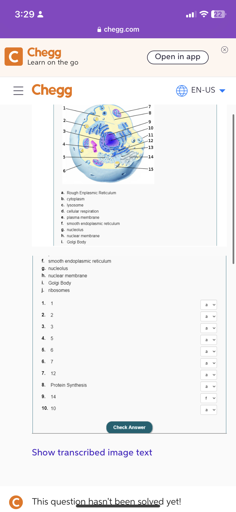 3:298222chegg.comChegg(x)Learn on the go-= | Chegg.com