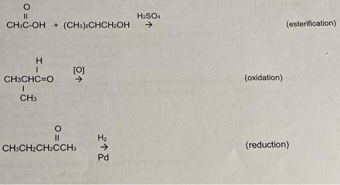 Solved (esterification) (oxidation) | Chegg.com