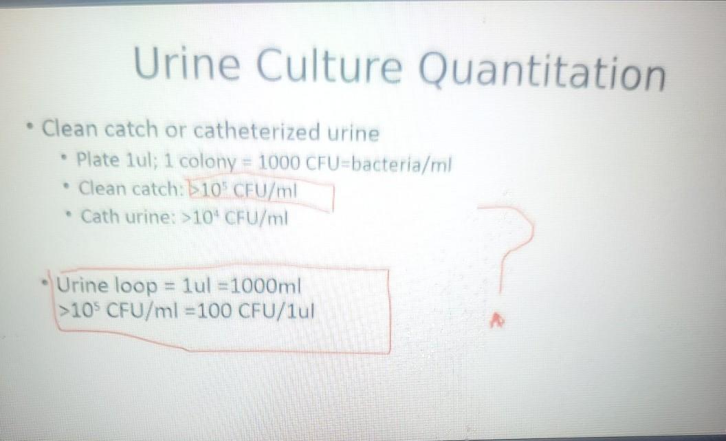 Solved Urine Culture Quantitation Clean catch or | Chegg.com