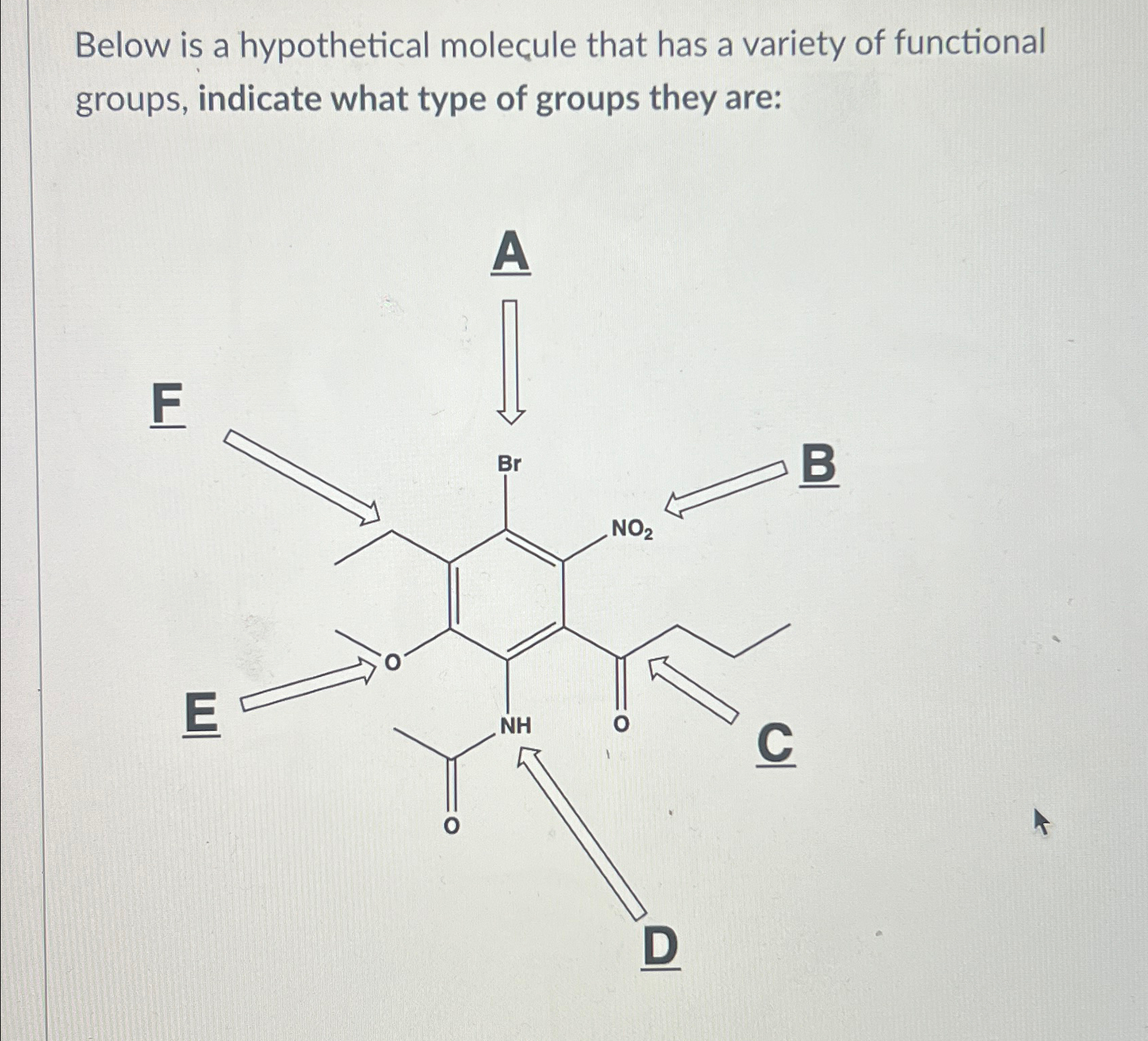 Solved Below is a hypothetical molecule that has a variety | Chegg.com
