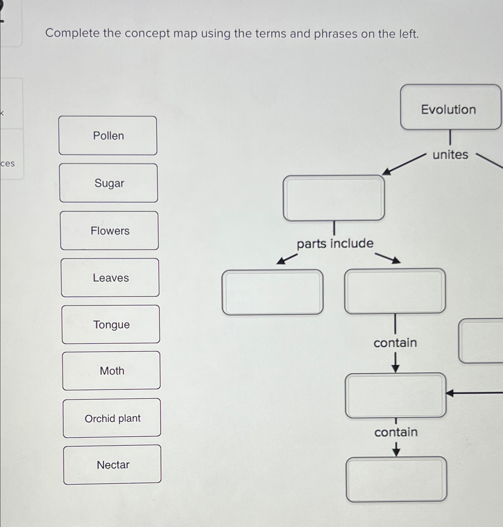 Solved Complete the concept map using the terms and phrases | Chegg.com