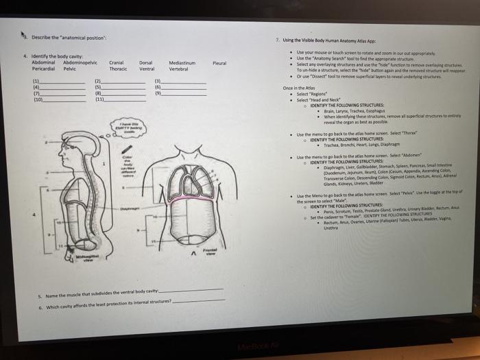 solved-name-anatomy-and-physiology-lab-1-the-language-of-chegg