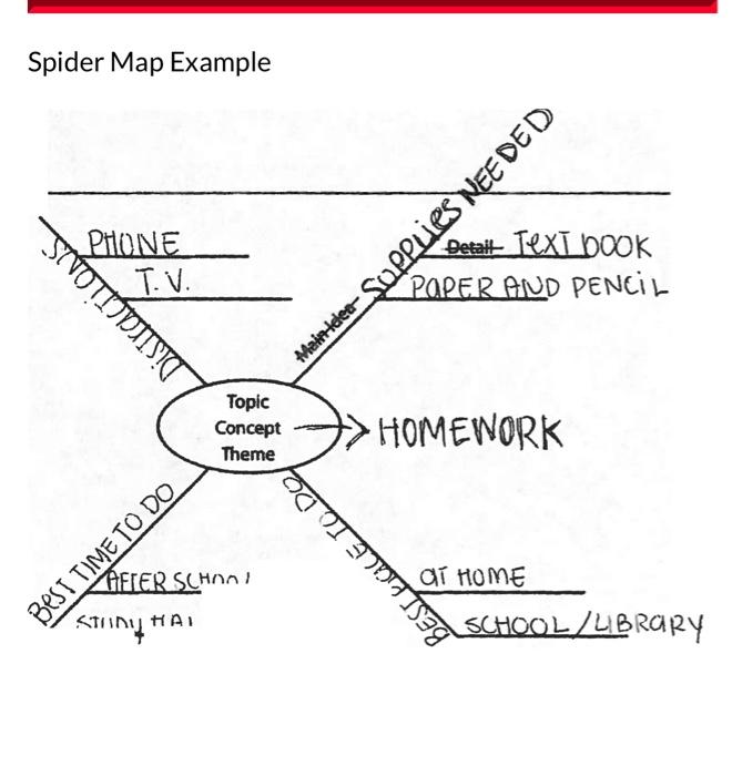 Facts About Florida Spider Map Storyboard By Lauren