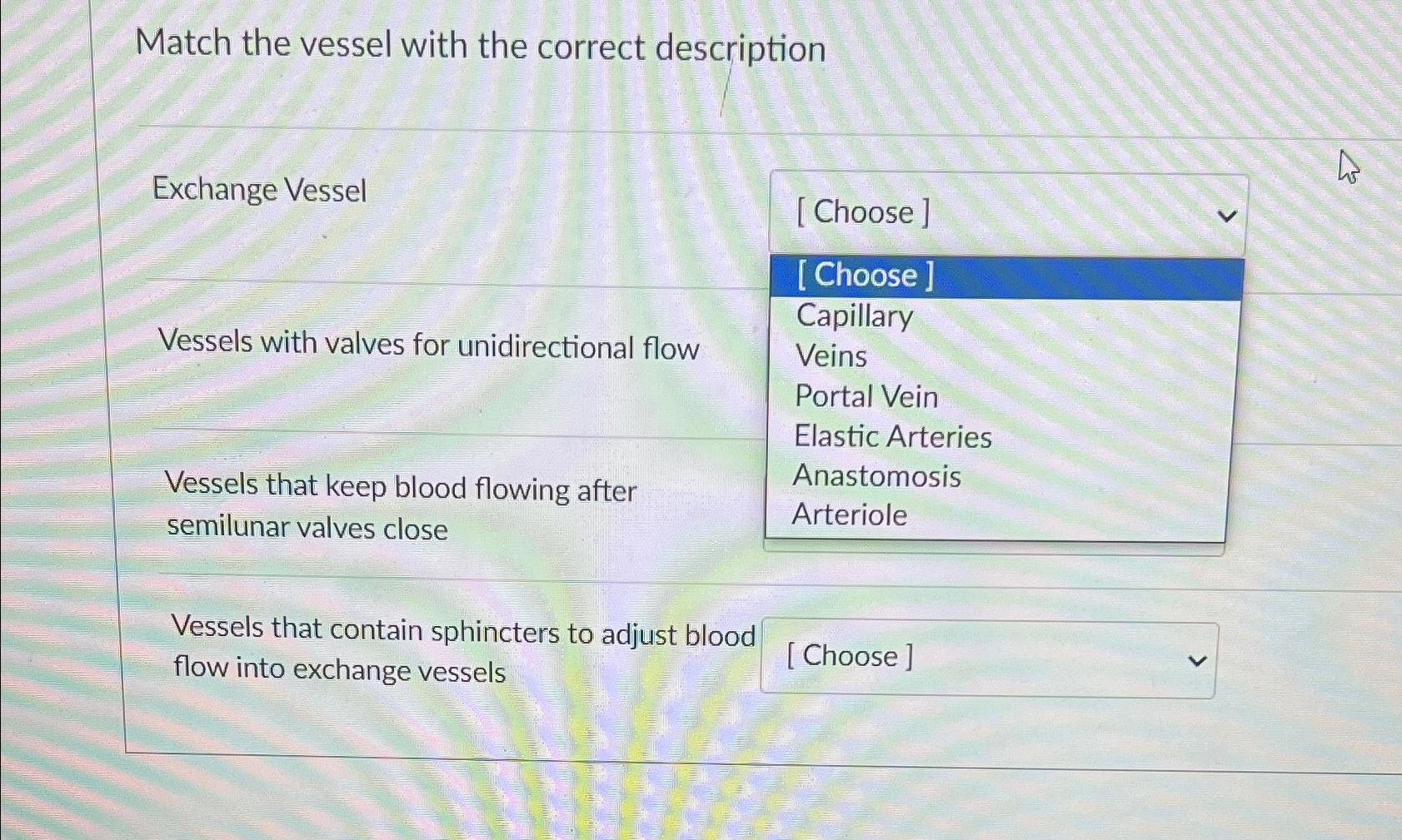 Solved Match the vessel with the correct descriptionExchange | Chegg.com