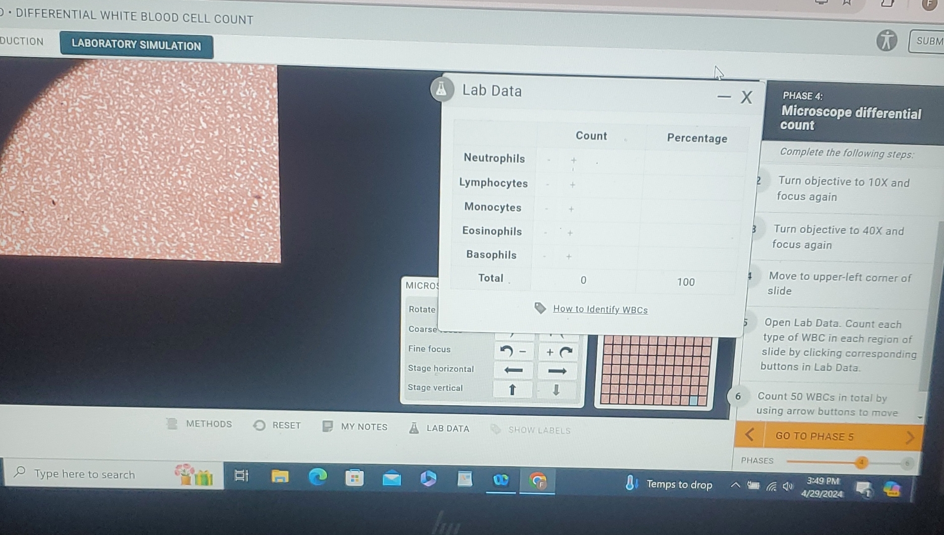 Solved DIFFERENTIAL WHITE BLOOD CELL COUNTDUCTIONSUBMPHASE | Chegg.com