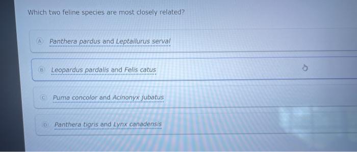 Solved A cladogram of feline species is shown. Panthera | Chegg.com