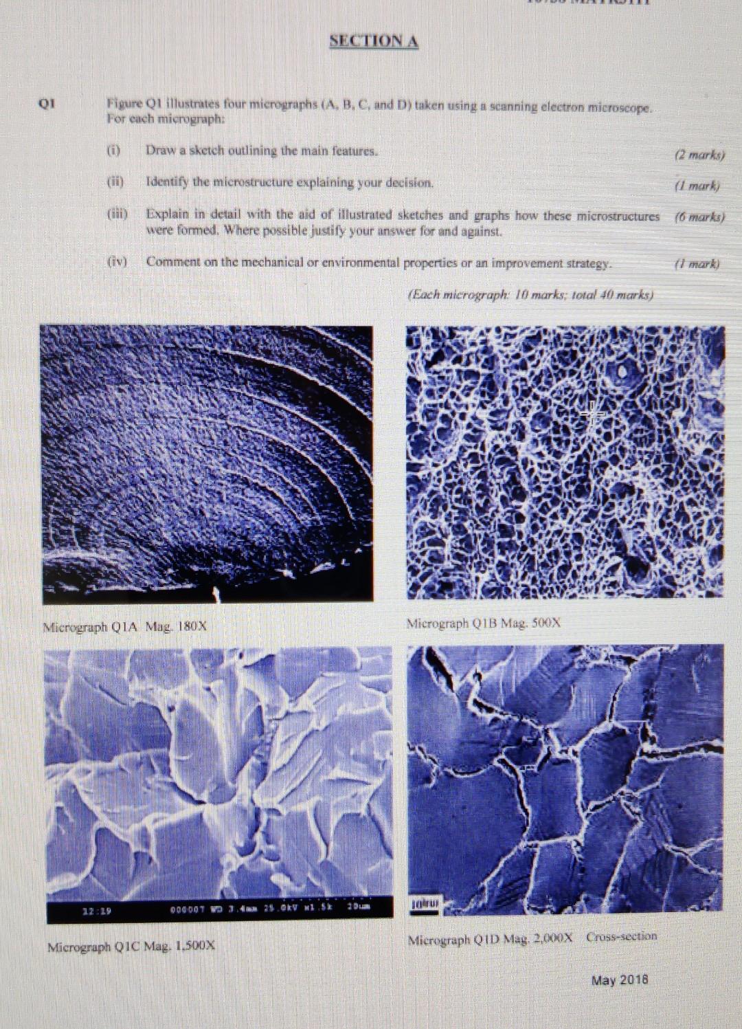 Solved SECTION A 01 Figure Ol illustrates four micrographs | Chegg.com