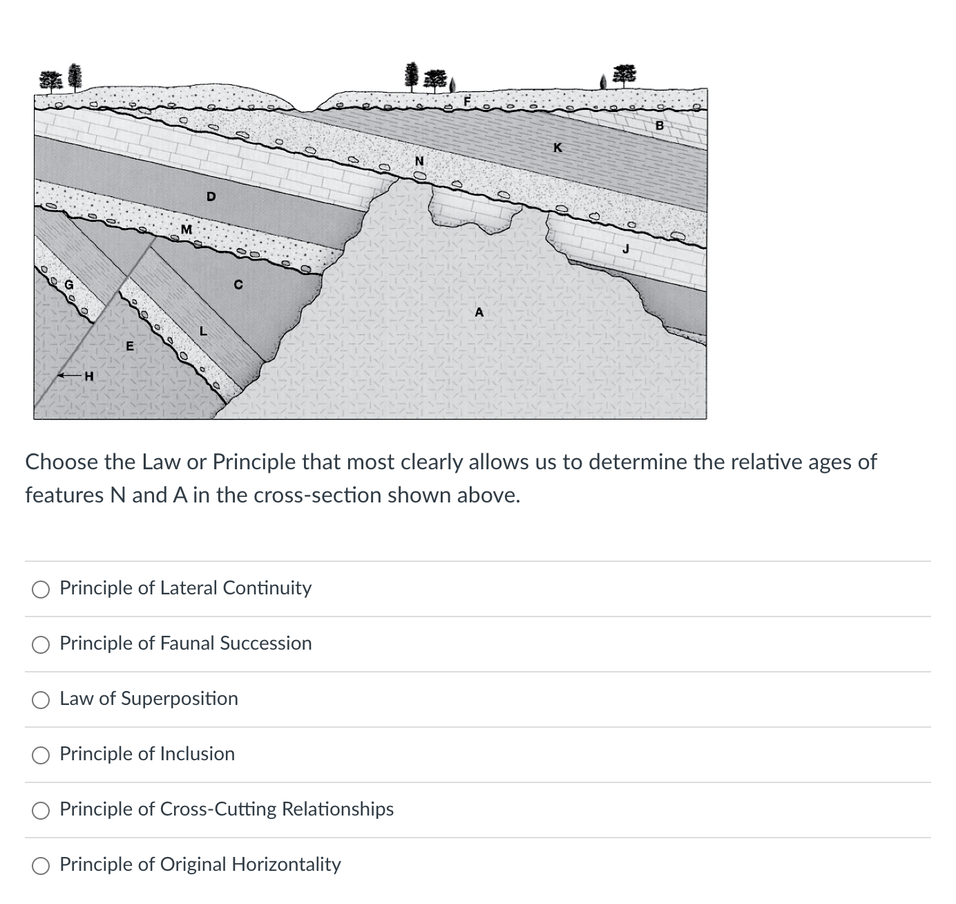 Choose the Law or Principle that most clearly allows | Chegg.com