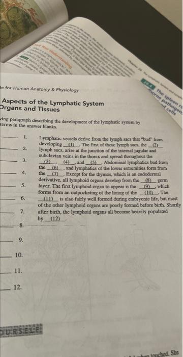 Solved Aspects of the Lymphatic System rgans and Tissues ing | Chegg.com