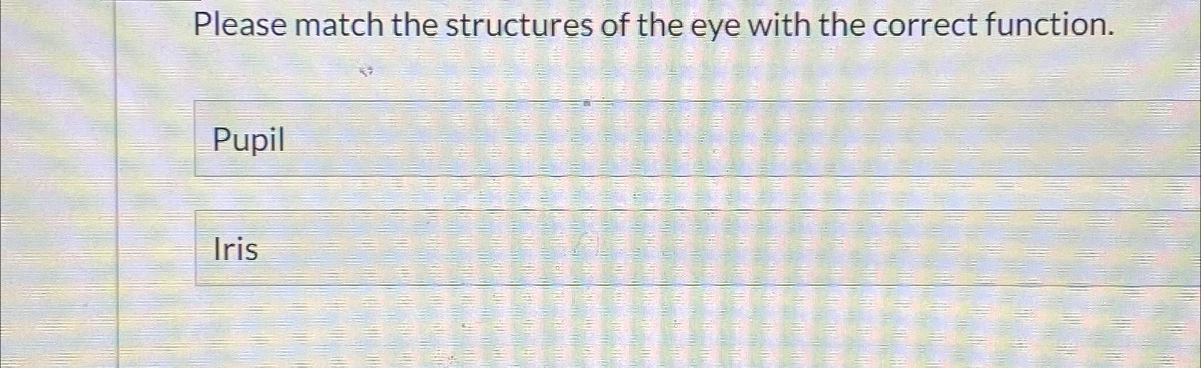 Solved Please match the structures of the eye with the | Chegg.com