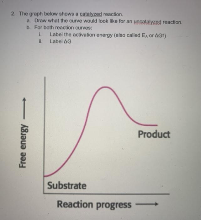 Solved 1. The graph below shows an uncatalyzed reaction. a. | Chegg.com