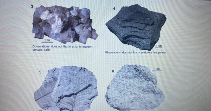 Solved You will examine photographs of sedimentary rock | Chegg.com