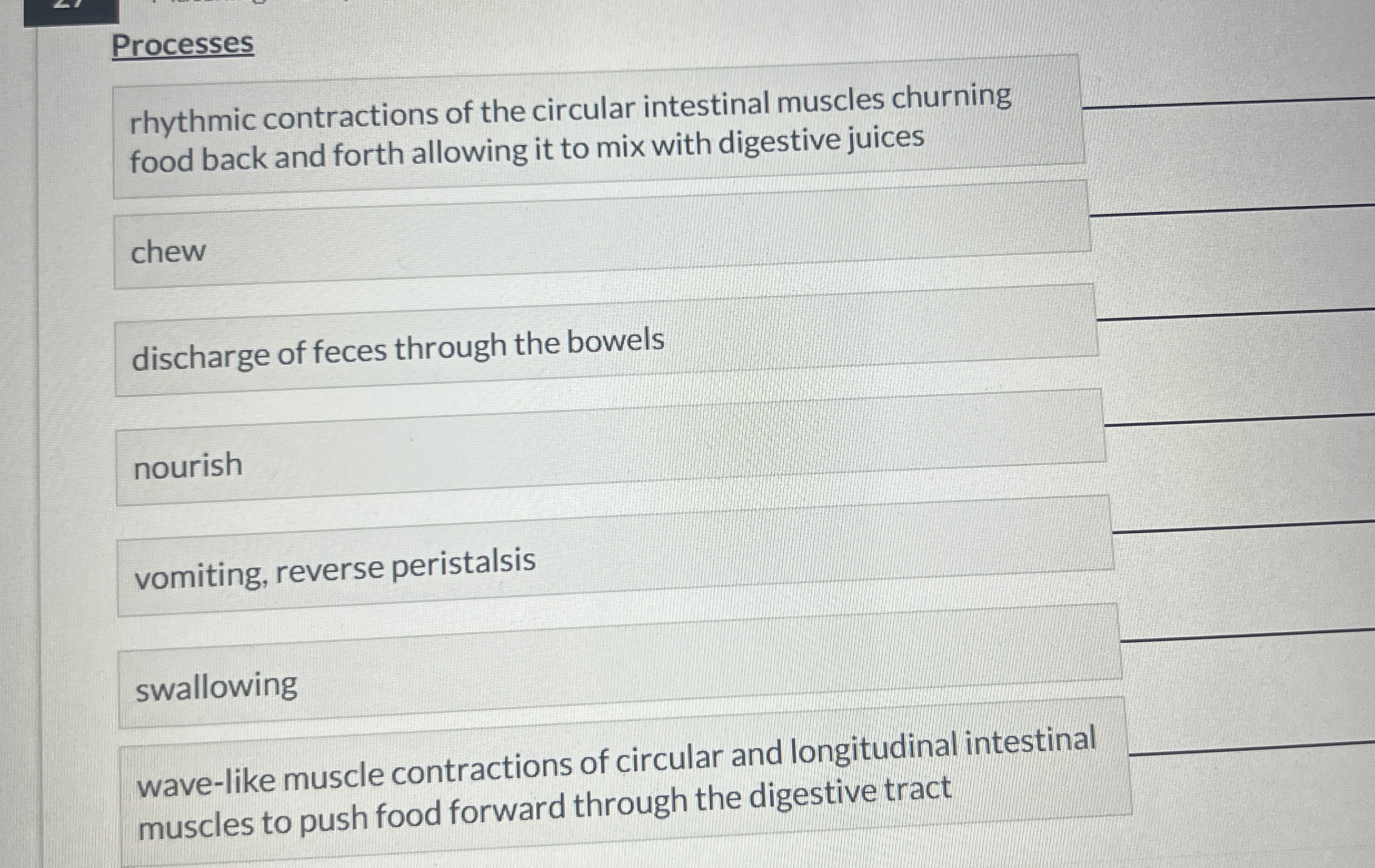 Solved Processesrhythmic contractions of the circular | Chegg.com