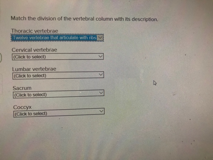 Solved Match the division of the vertebral column with its | Chegg.com