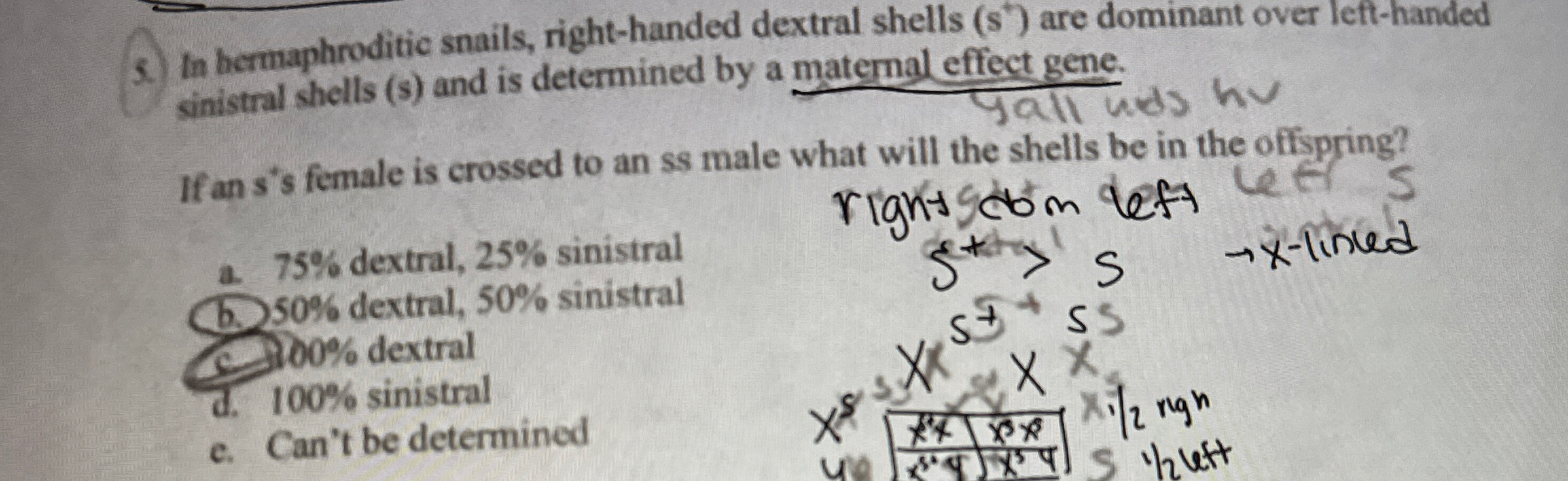 Solved 5.) ﻿In hermaphroditic snails, right-handed dextral | Chegg.com