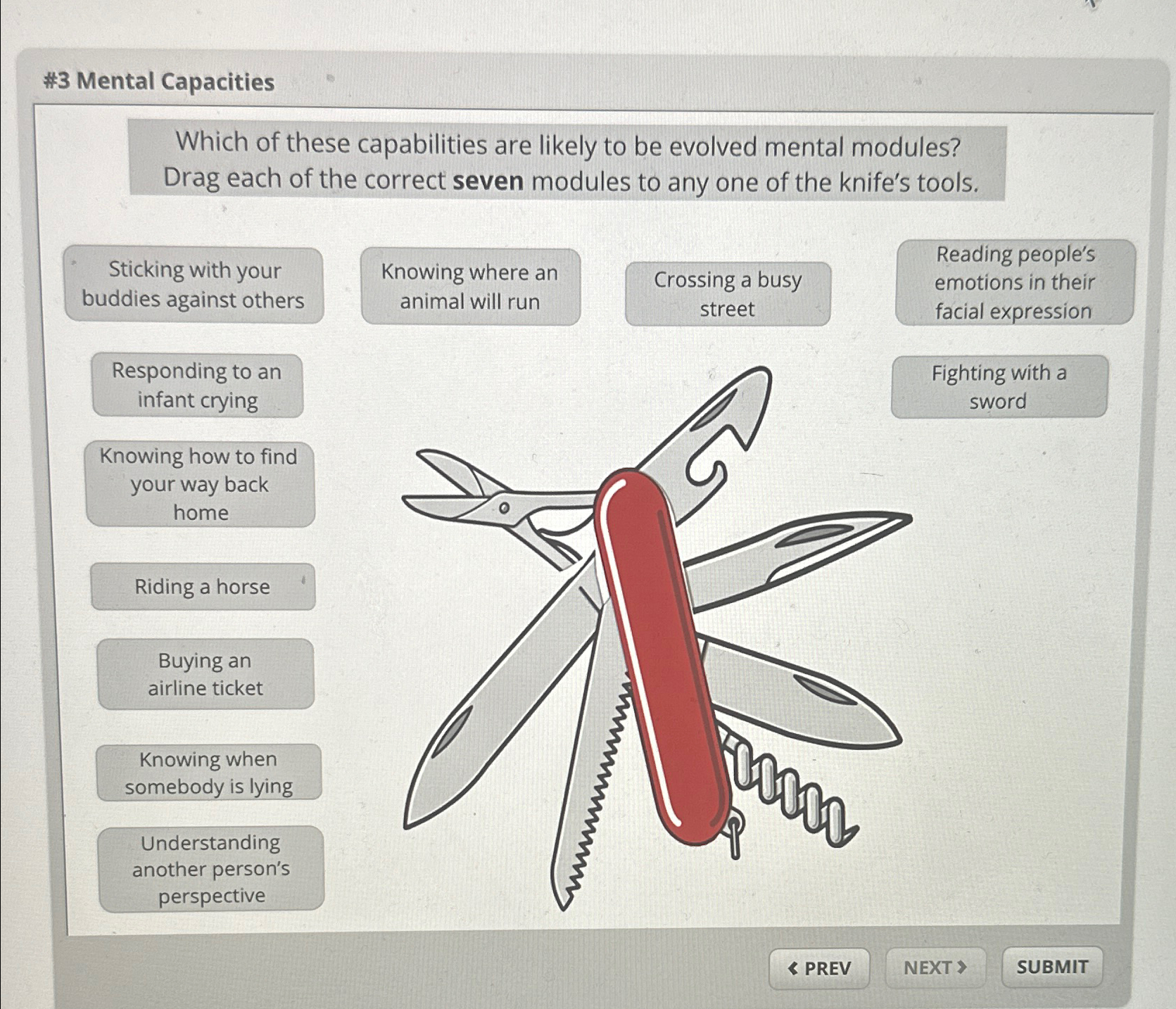 Solved #3 ﻿Mental CapacitiesWhich of these capabilities are | Chegg.com