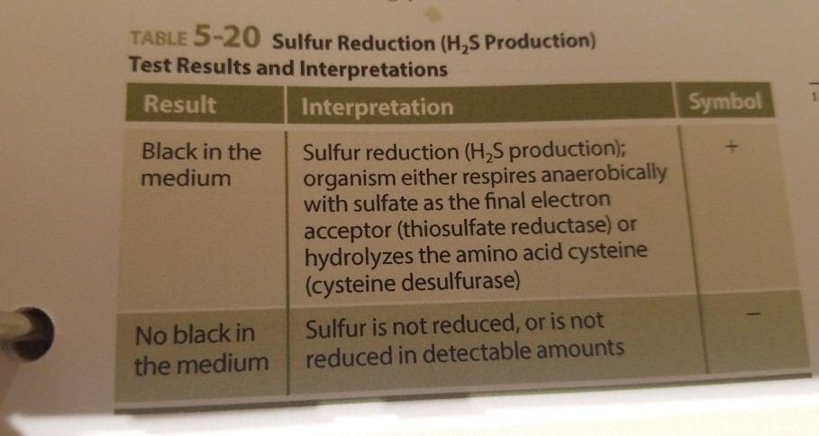 Solved 5-18: SIM Observations and Interpretations 1. | Chegg.com