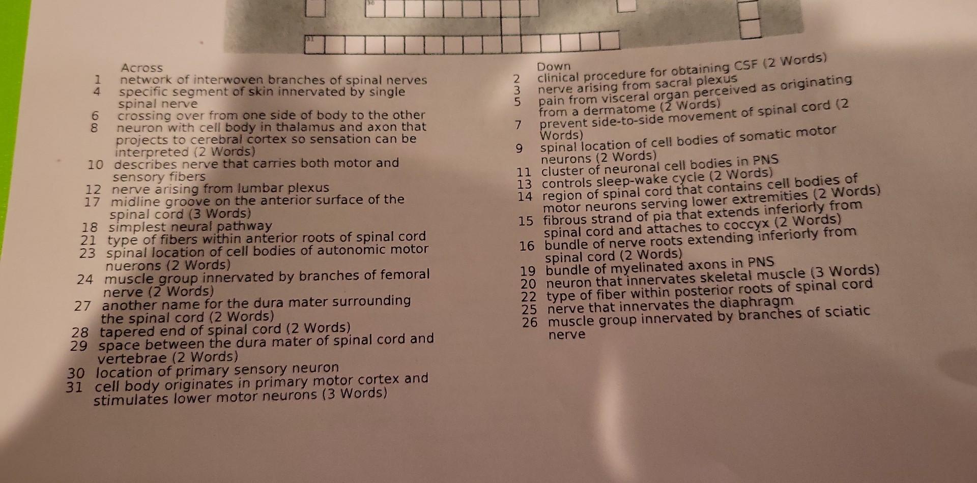 Solved Spinal Cord, Spinal Nerves and Pathways | Chegg.com
