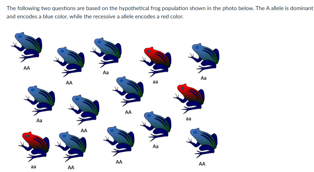 Solved The following two questions are based on the | Chegg.com