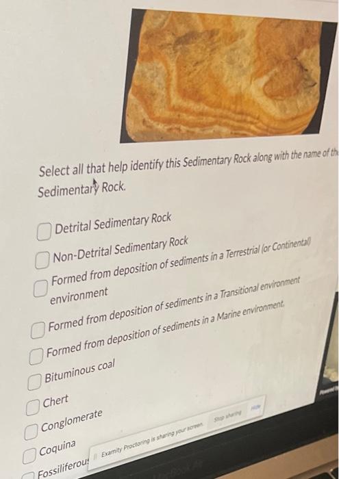 Solved Select all that help identify this Sedimentary Rock | Chegg.com