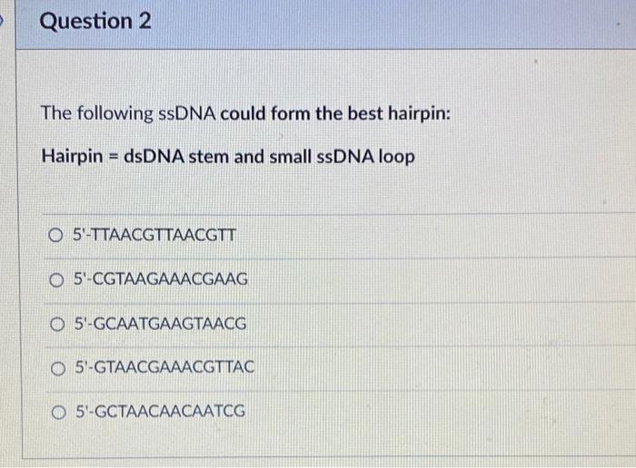 Solved dsDNA Structure of replicated chromosome DES | Chegg.com