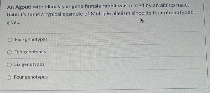 Solved An Agouti with Himalayan gene female rabbit was mated | Chegg.com