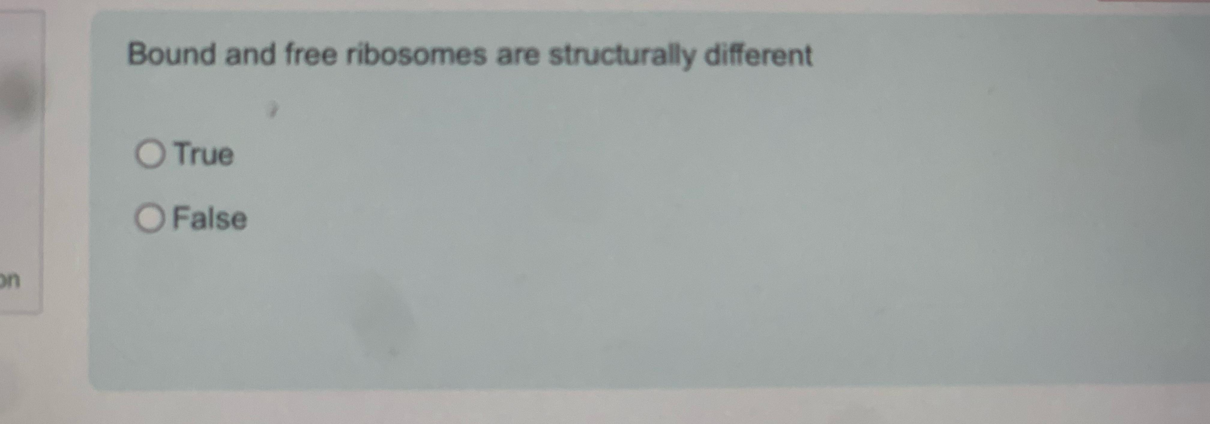 Solved Bound And Free Ribosomes Are Structurally 