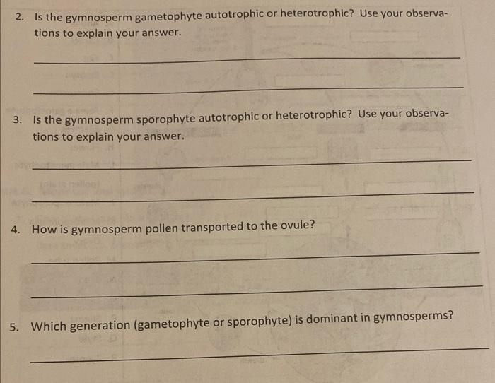 Solved 2. Is the gymnosperm gametophyte autotrophic or | Chegg.com