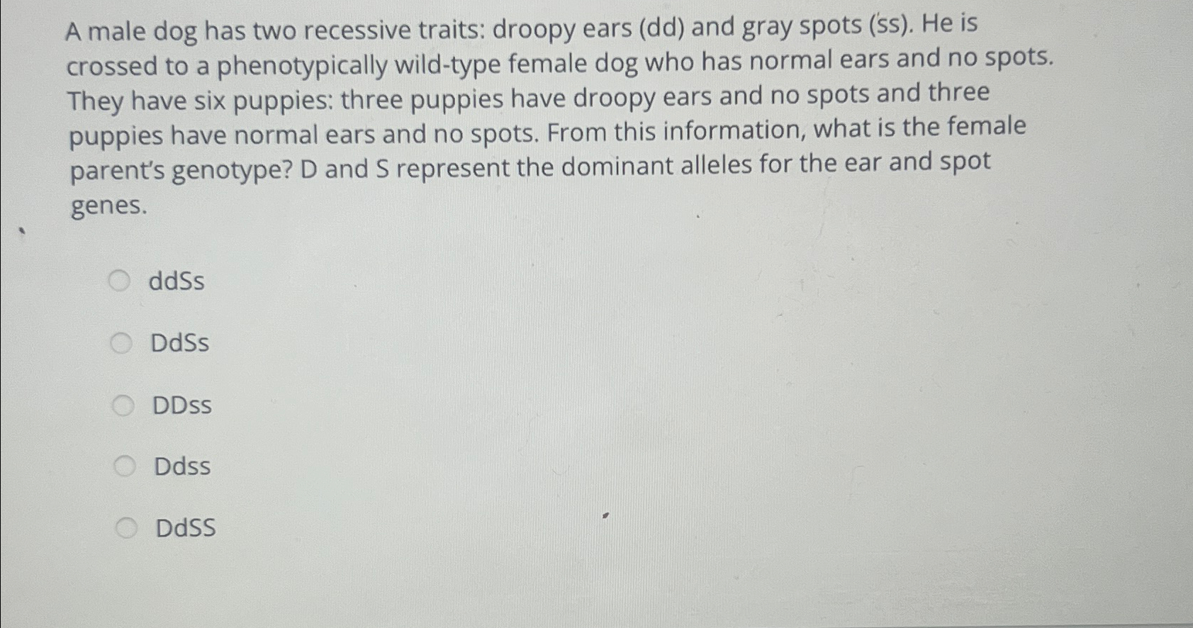 Solved A male dog has two recessive traits: droopy ears (dd) | Chegg.com