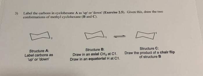 Solved Label the carbons in cyclohexane A as ‘up’ or ‘down’. | Chegg.com