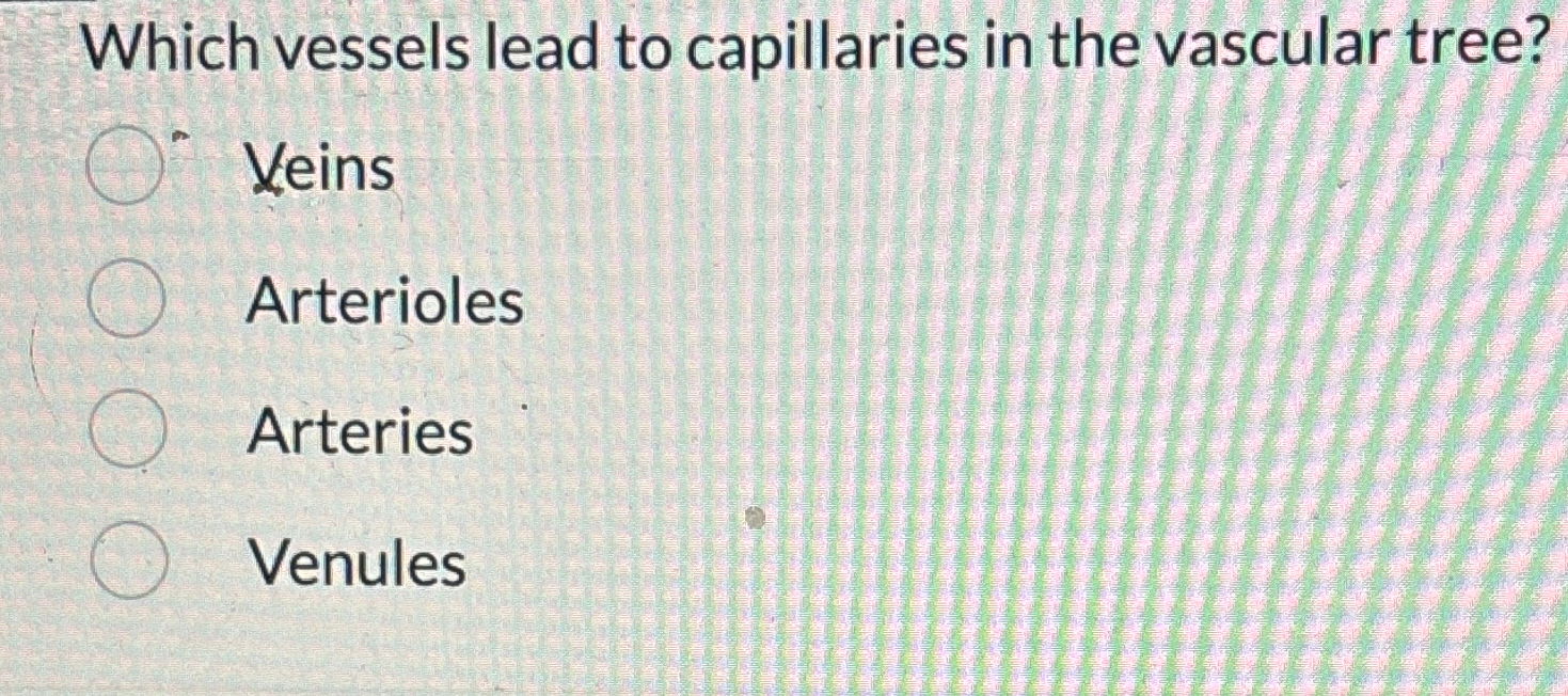 Solved Which vessels lead to capillaries in the vascular | Chegg.com