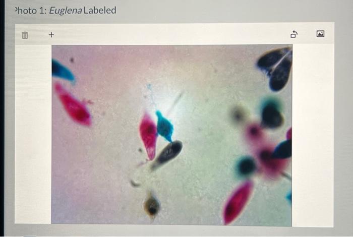 Solved Exercise 1 - Questions Question 1 What structures | Chegg.com