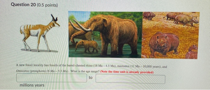 Solved Question 20 (0.5 points) A new fossil locality has | Chegg.com