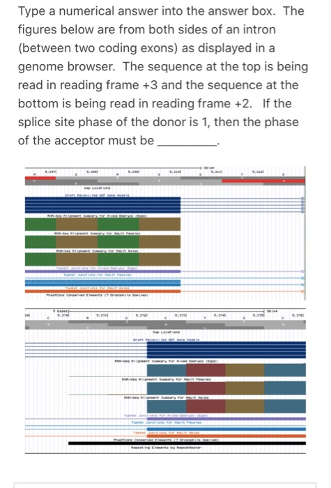 Type a numerical answer into the answer box. The | Chegg.com